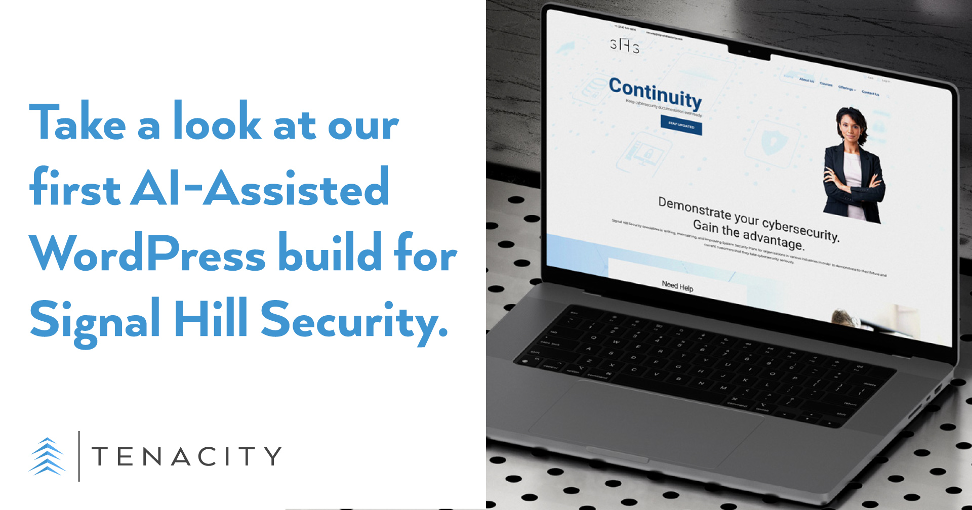 Custom WordPress Website Build for Signal Hill Security - Tenacity ...