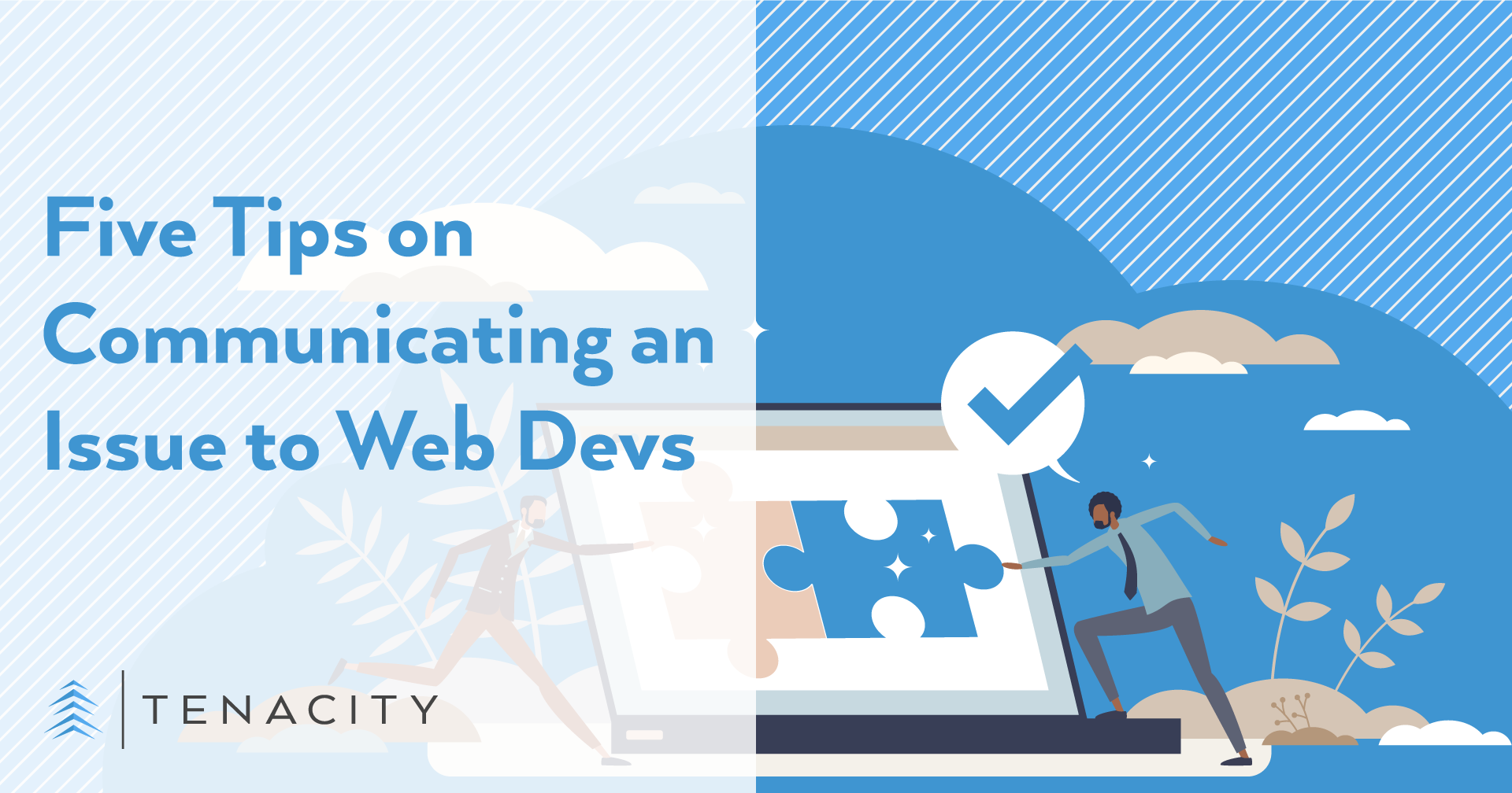 5 Tips on Communicating an Issue to Web Devs - by Tenacity